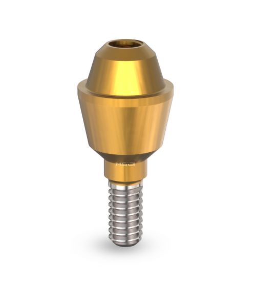 Multi Unit Abutment | Internal hex